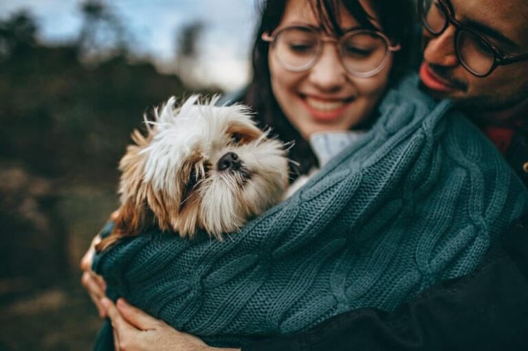 13 Most Common Shih Tzu Health Problems - FrenchieWiki